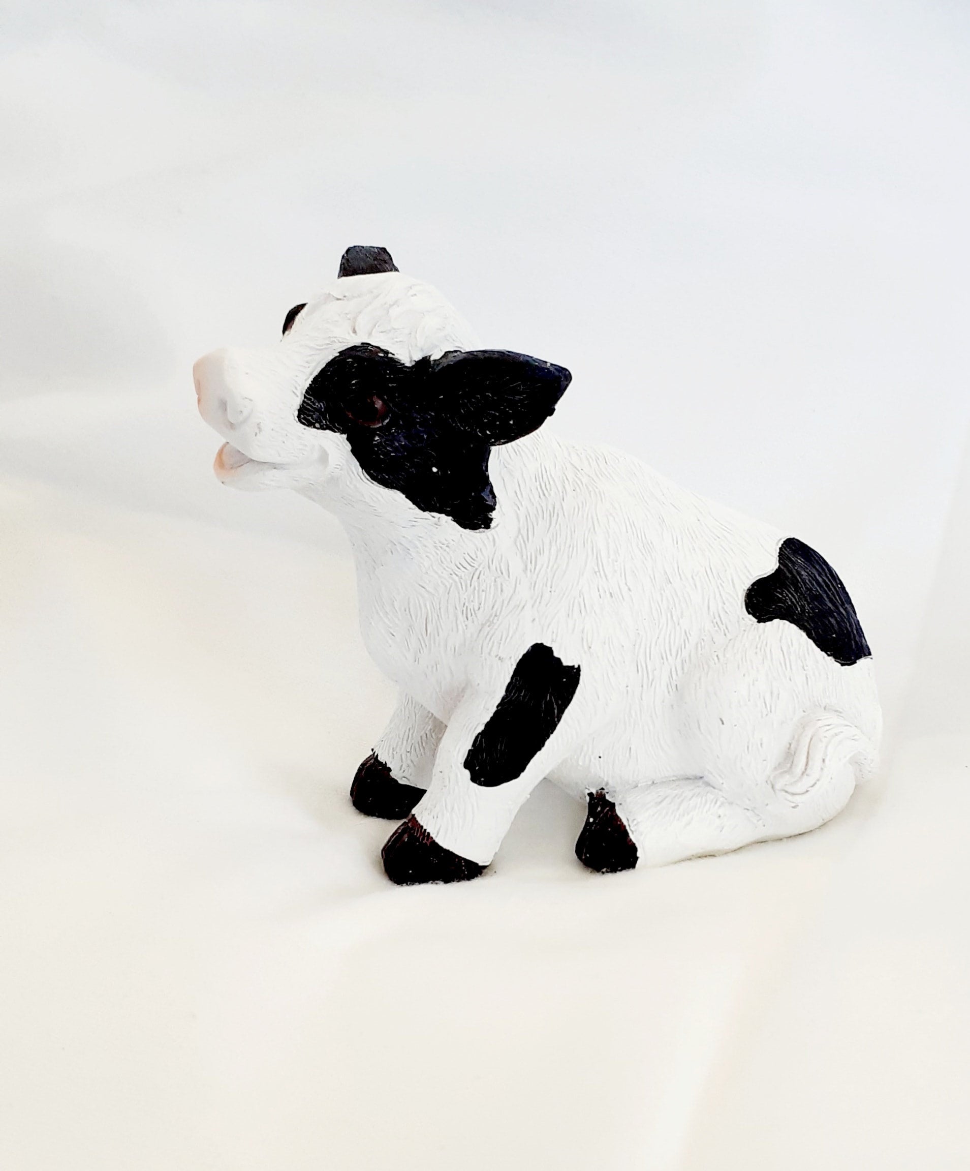 sitting cow